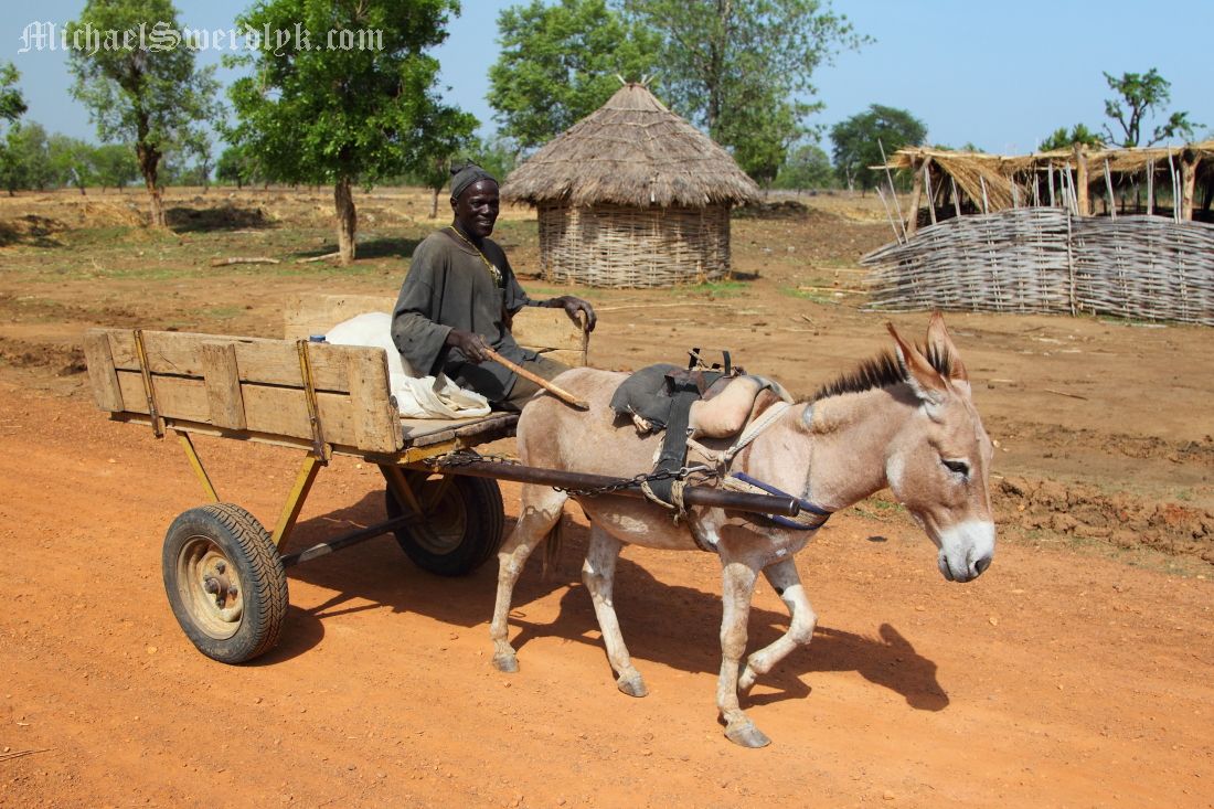 Sonkounkou Donkey Cart